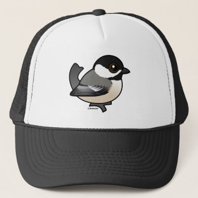 List of Fun Facts About Chickadees by Birdorable