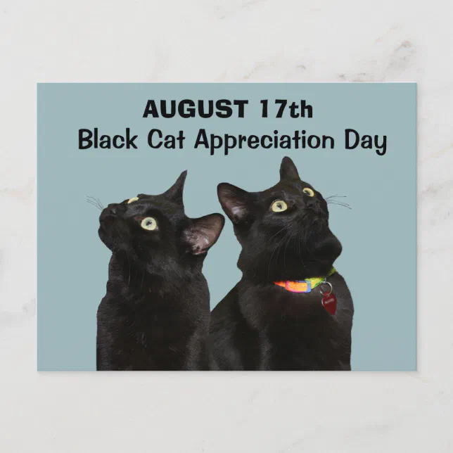 Black Cat Appreciation Day Postcard | Zazzle