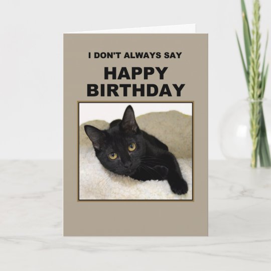 Black Cat Birthday Humor Card | Zazzle.com