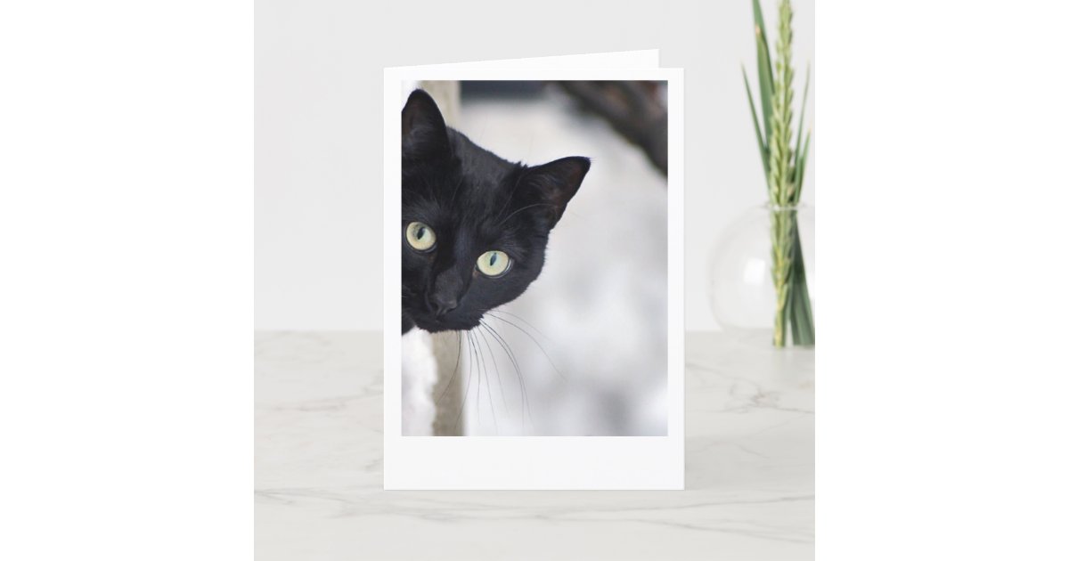 Black Cat Card | Zazzle