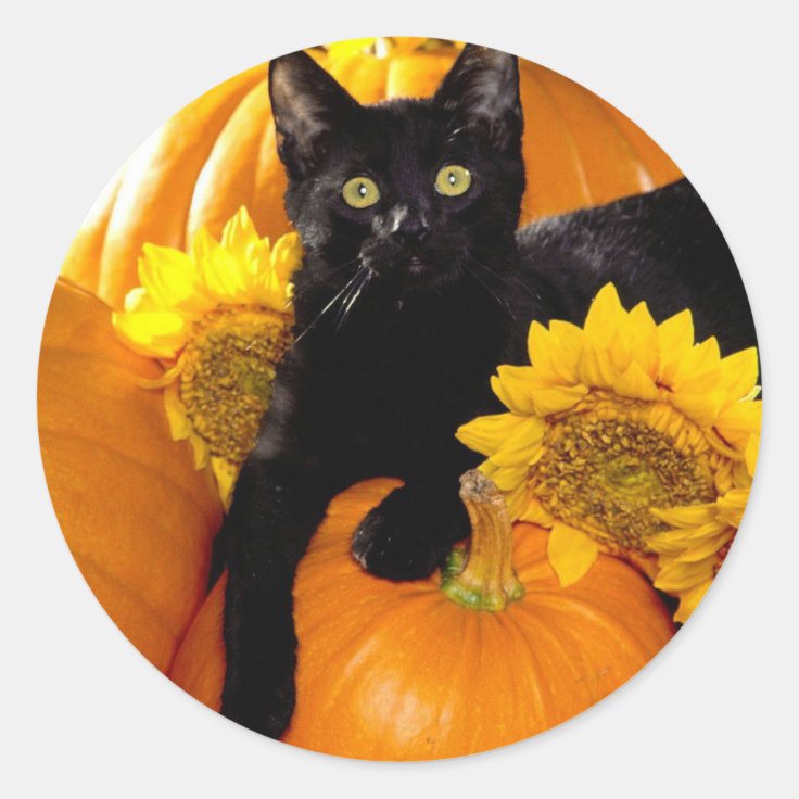 Black Cat Classic Round Sticker | Zazzle