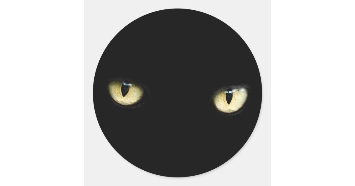 black cat eyes stickers | Zazzle