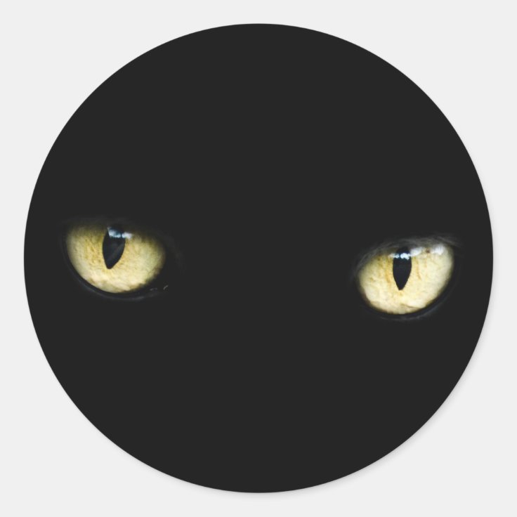 black cat eyes stickers | Zazzle