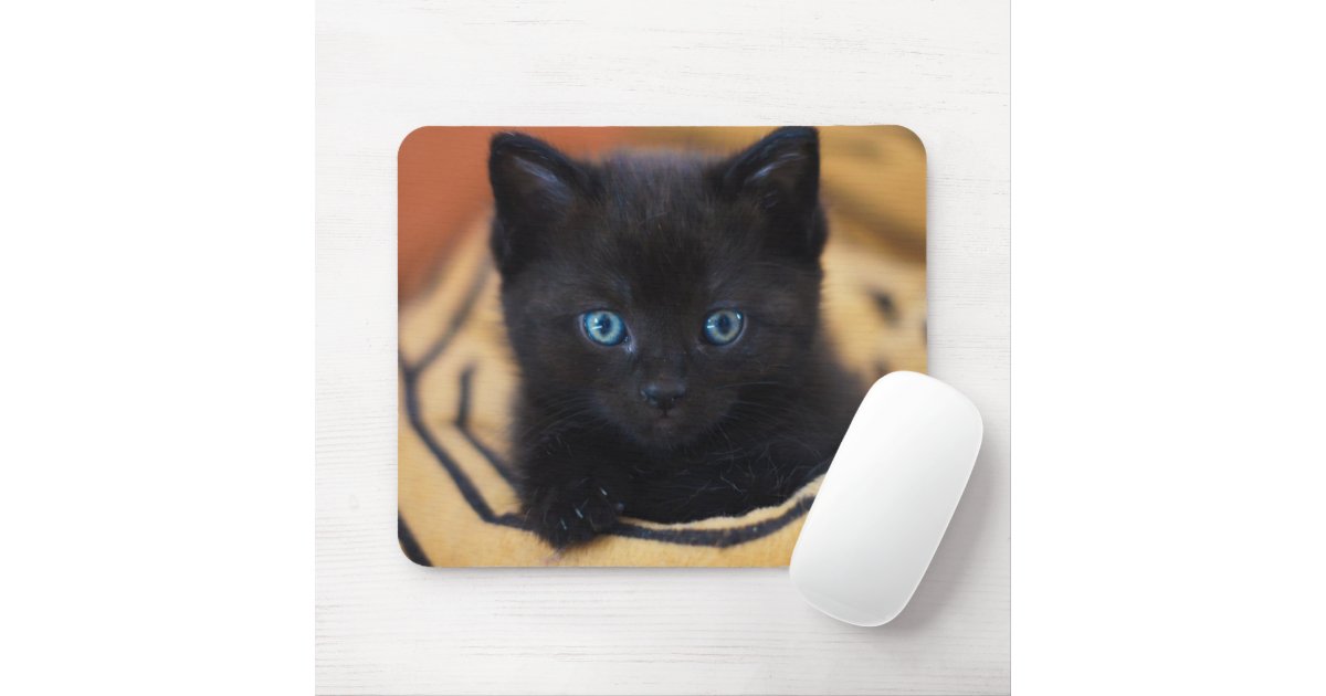 black cat mouse pad | Zazzle