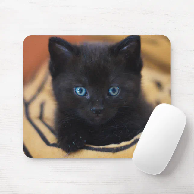 black cat mouse pad | Zazzle