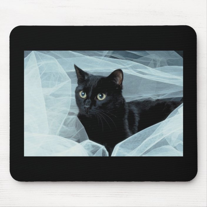 Black Cat Mousepad | Zazzle.com