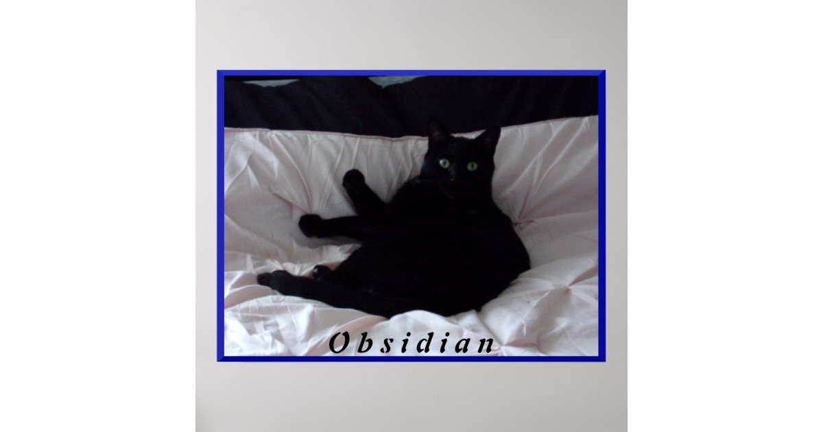 Black Cat "Obsidian" Poster | Zazzle