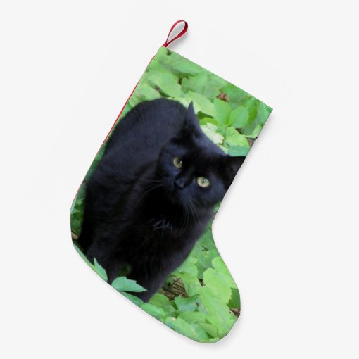 Black Cat Small Christmas Stocking | Zazzle