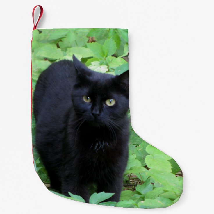 Black Cat Small Christmas Stocking | Zazzle
