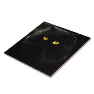 Cat Decorative Ceramic Tiles | Zazzle