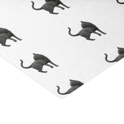 Black Cat Tissue Paper | Zazzle