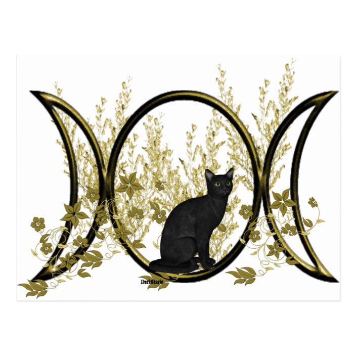 Black Cat Triple Moon Symbol Postcard | Zazzle.com