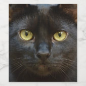 Black cat wine label | Zazzle