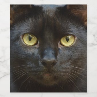 Black cat wine label | Zazzle