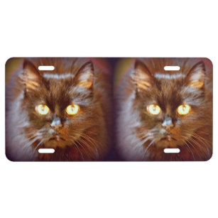 Kitty Cat License Plates | Zazzle