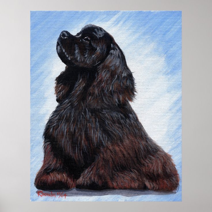 Black Cocker Spaniel Dog Portrait Poster | Zazzle