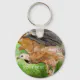 Black-collared Hawk Pastel Painting Keychain | Zazzle