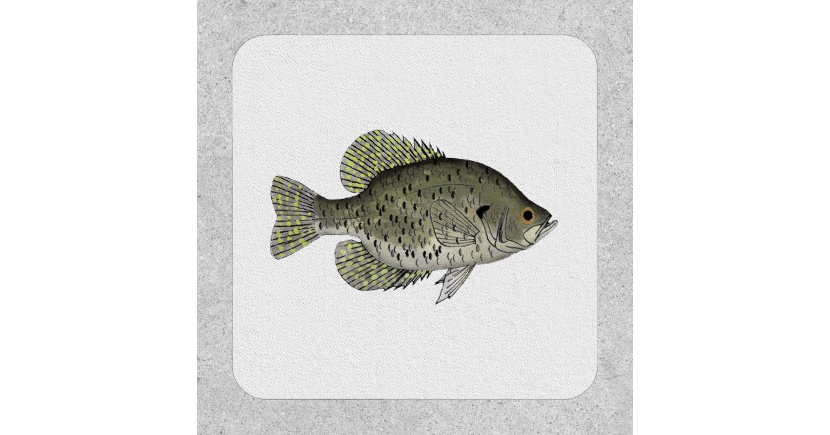 Black Crappie Patch | Zazzle