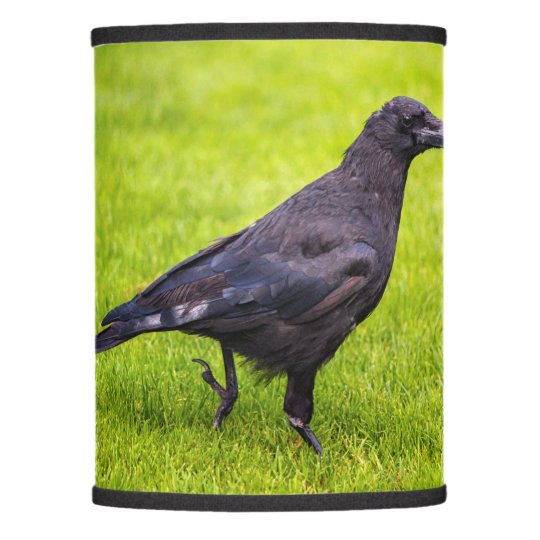 Black crow lamp shade | Zazzle.com