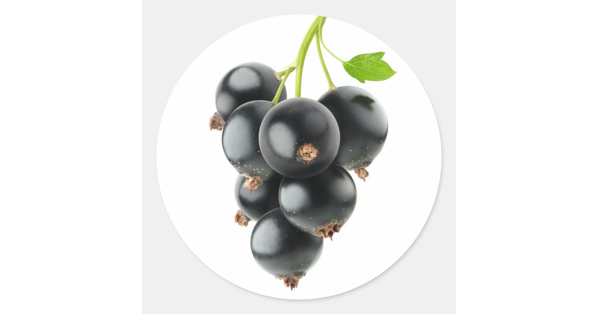 Black currants classic round sticker | Zazzle