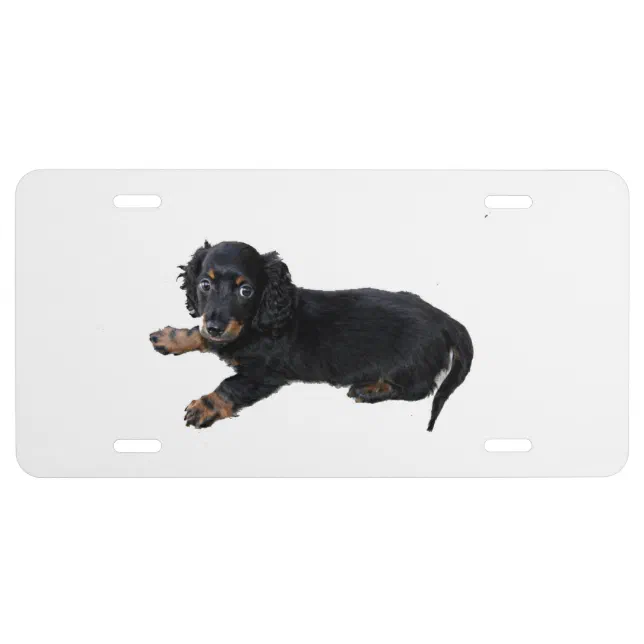 Black Dachshund Cocker Spaniel Puppy Photograph License Plate | Zazzle