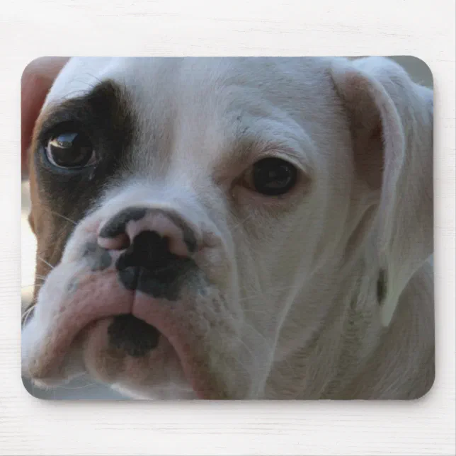 Black Eyed Boxer Dog Mouse Pad | Zazzle