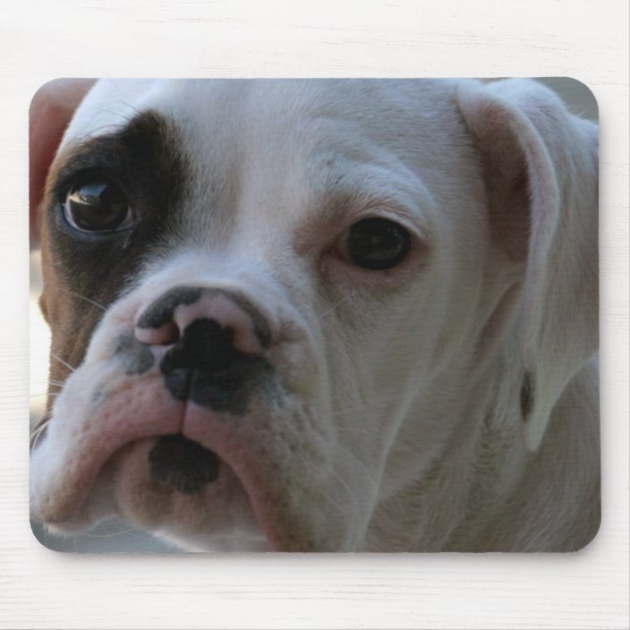 Black Eyed Boxer Dog Mouse Pad | Zazzle.com