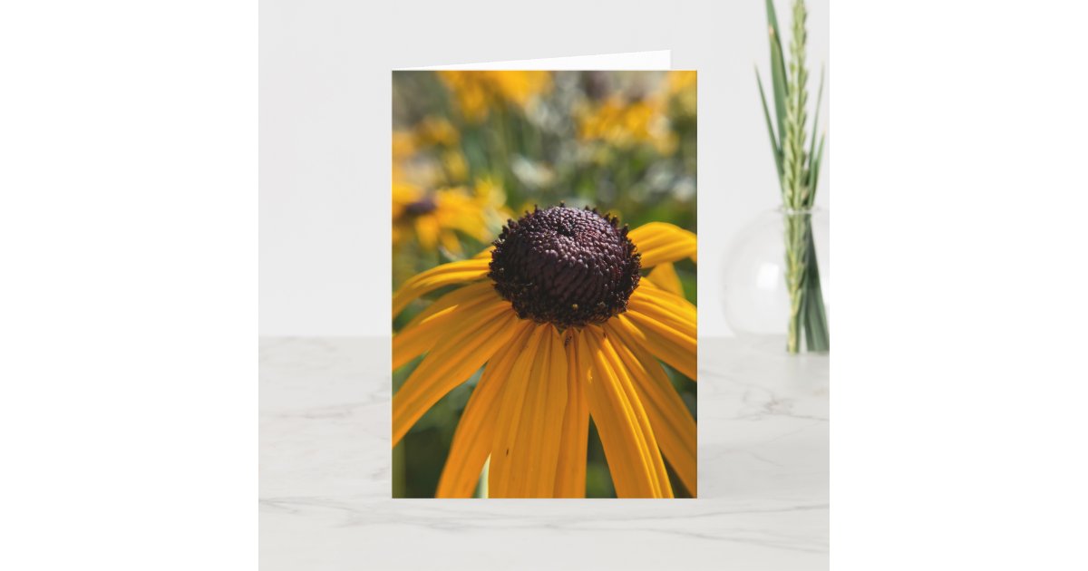 Black-Eyed Susan Blank Thank You Card | Zazzle