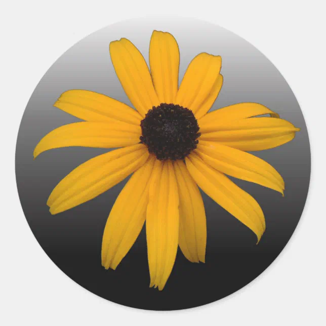 Black Eyed Susan Classic Round Sticker | Zazzle