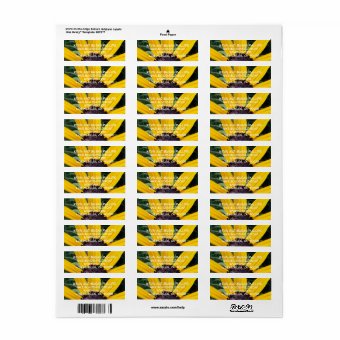 Black Eyed Susan MD Flower Label | Zazzle
