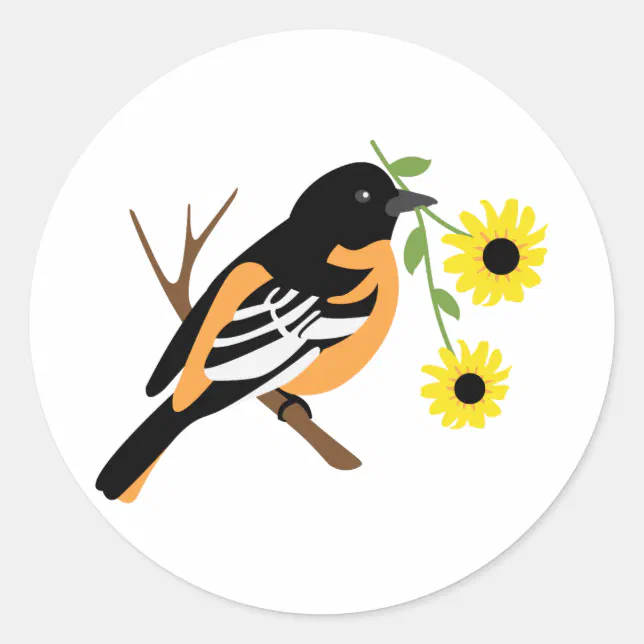 Black Eyed Susan Oriole Classic Round Sticker | Zazzle