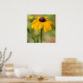 Black Eyed Susan Poster | Zazzle