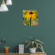 Black Eyed Susan Poster | Zazzle