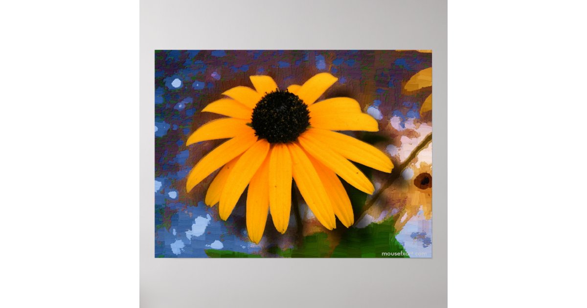 Black Eyed Susan Poster | Zazzle