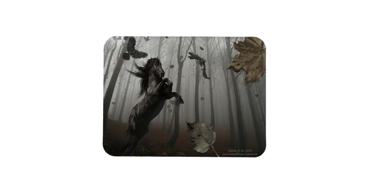 Black Forest Magnet | Zazzle