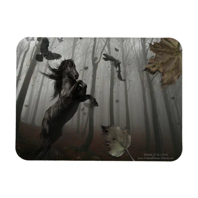 Black Forest Magnet | Zazzle