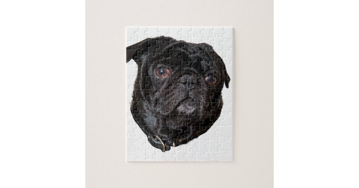 Black Funny Pug Jigsaw Puzzle | Zazzle