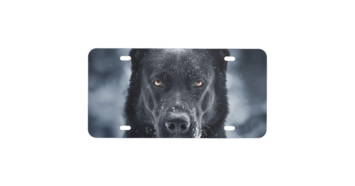 Black German Shepherd License Plate | Zazzle
