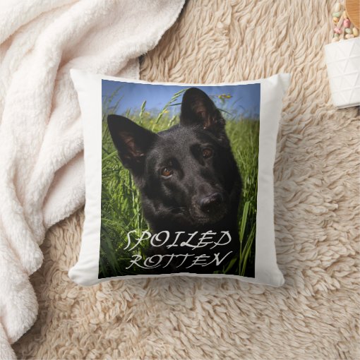 black german shepherd spoiled rotten throw pillow | Zazzle