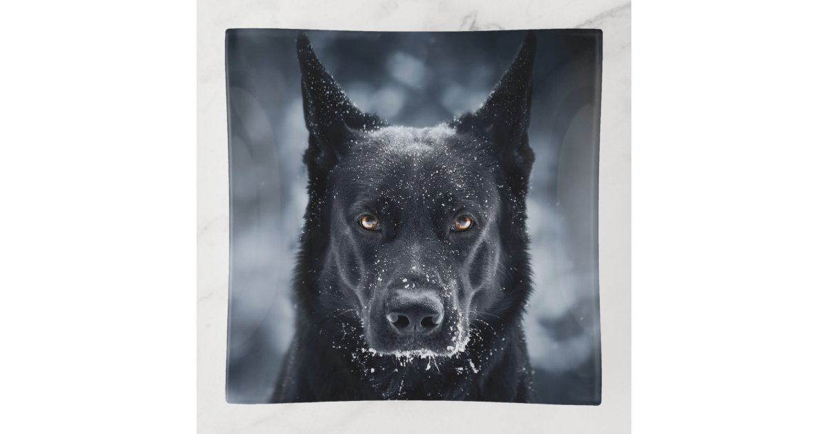 Black German Shepherd Trinket Tray | Zazzle