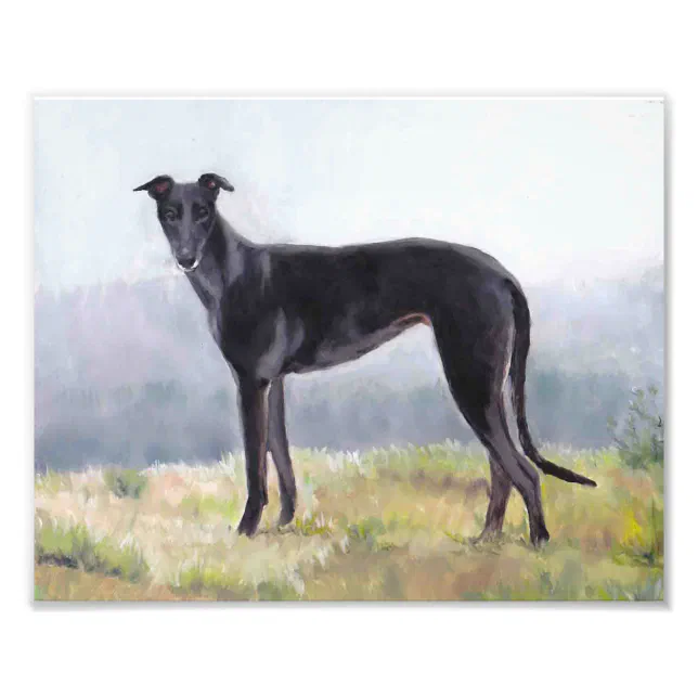 Black Greyhound Standing Dog Photo Print | Zazzle