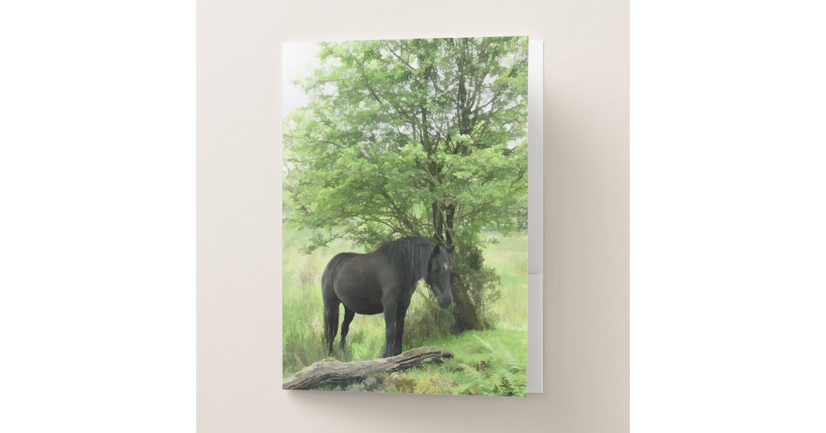 BLACK HORSE POCKET FOLDER | Zazzle