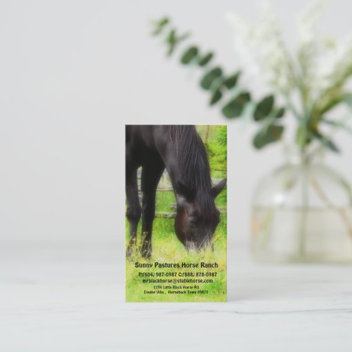 Black Horse Riding Stables Boarding or Farrier Business Card | Zazzle
