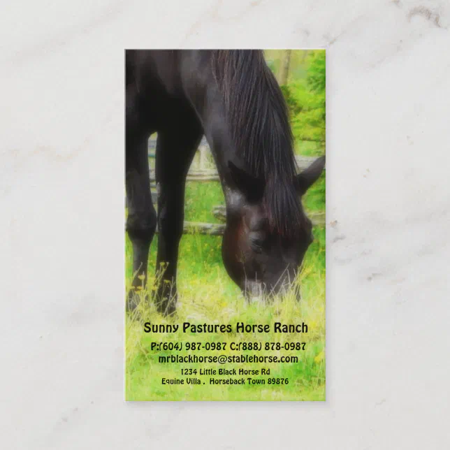 Black Horse Riding Stables Boarding or Farrier Business Card | Zazzle