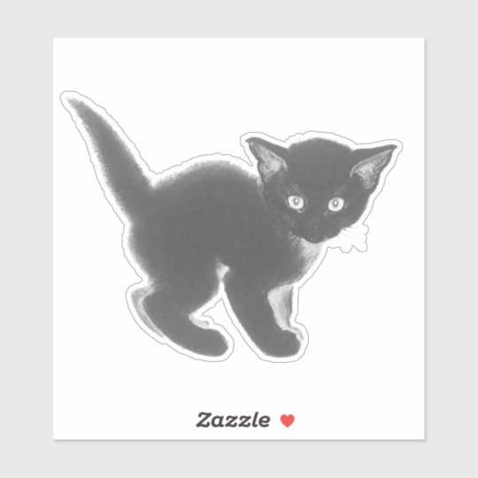 Black Kitten Sticker | Zazzle.com