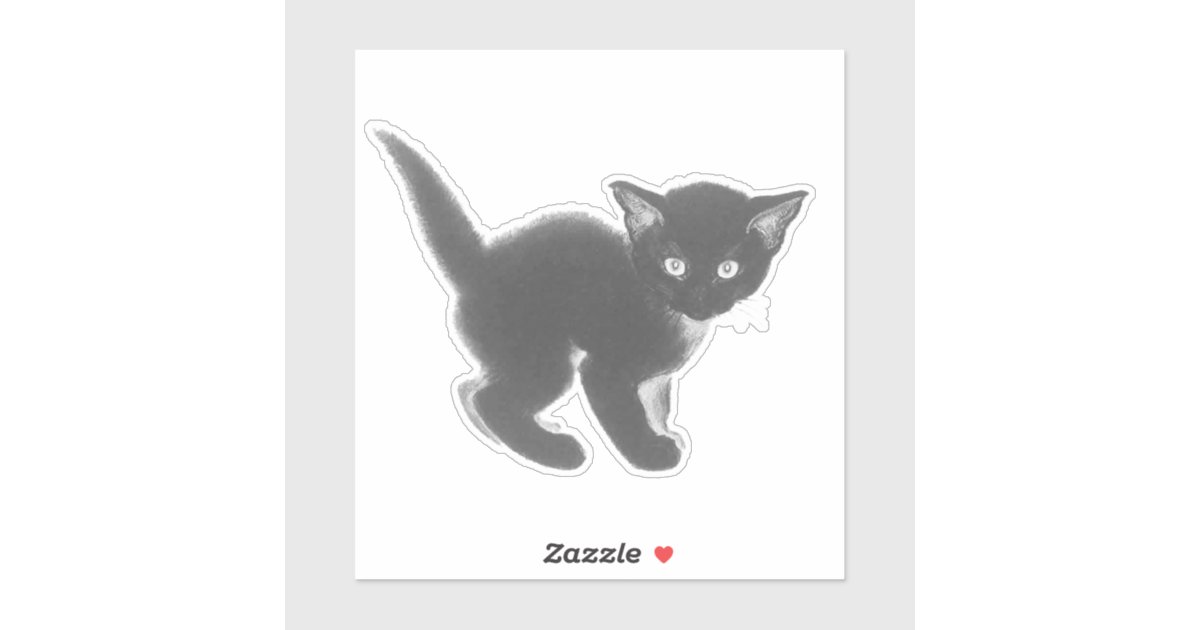 Black Kitten Sticker | Zazzle