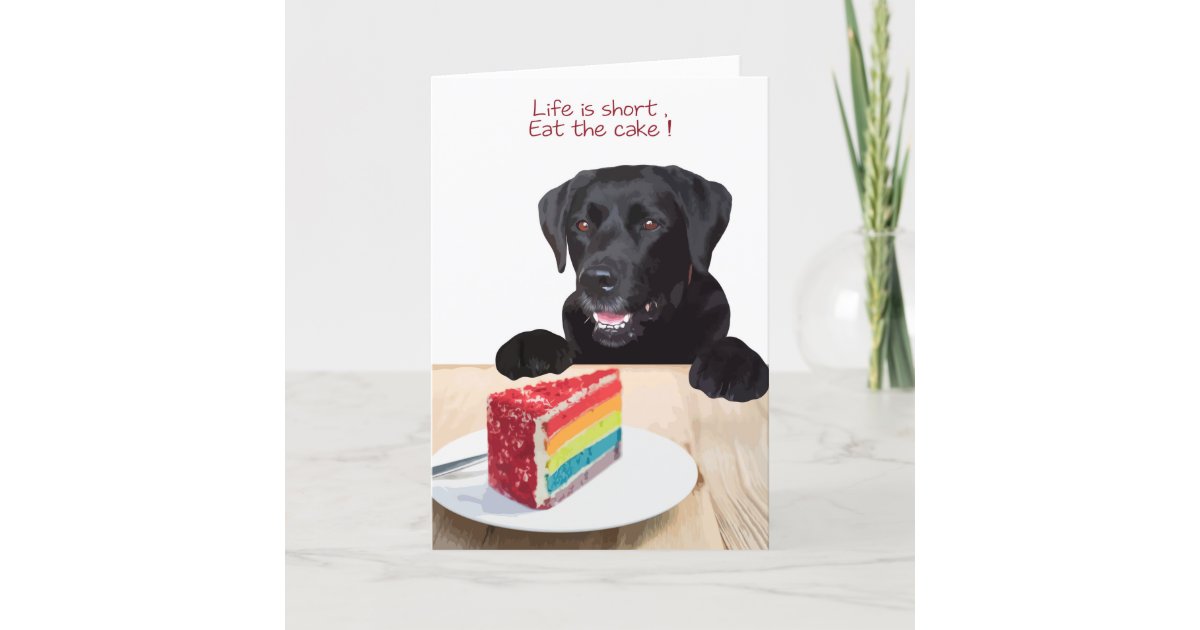Black Lab All Occasion Card - Dog Cake Birthday | Zazzle.com