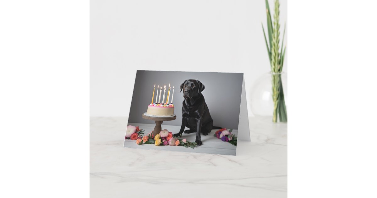 Black Lab Birthday Card | Zazzle