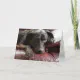Black Lab Card | Zazzle