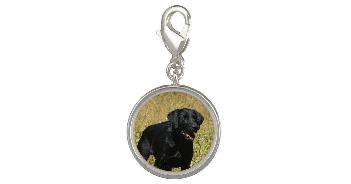 Black Lab Charm | Zazzle